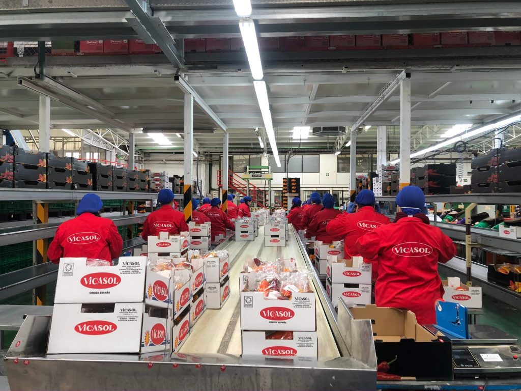 Vicasol le da cancha a sus socios en la campaña de su 40 Aniversario ...