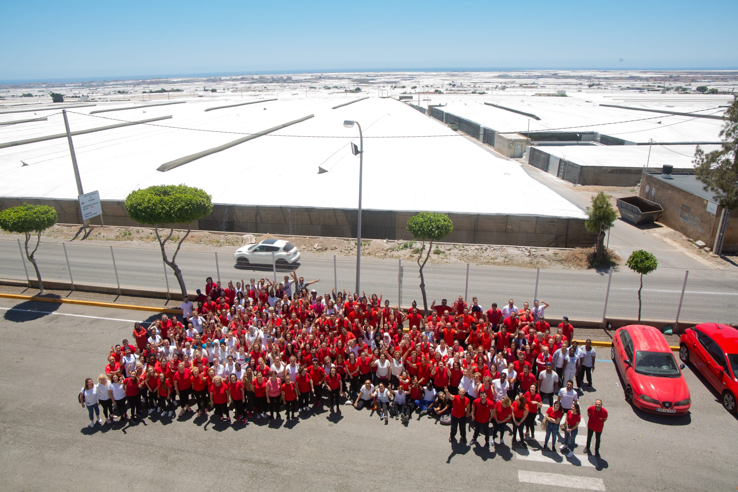 Cooperativa » Vicasol SCA