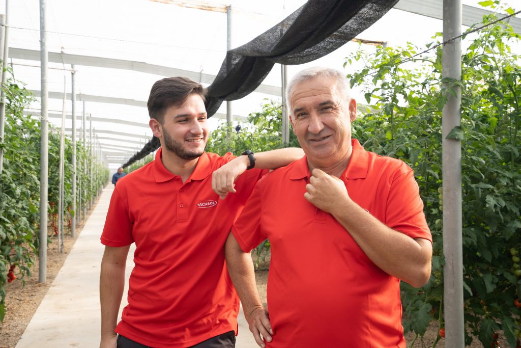 El pepino mini y el tomate cocktail bacco de Vicasol junto a nuestros ...