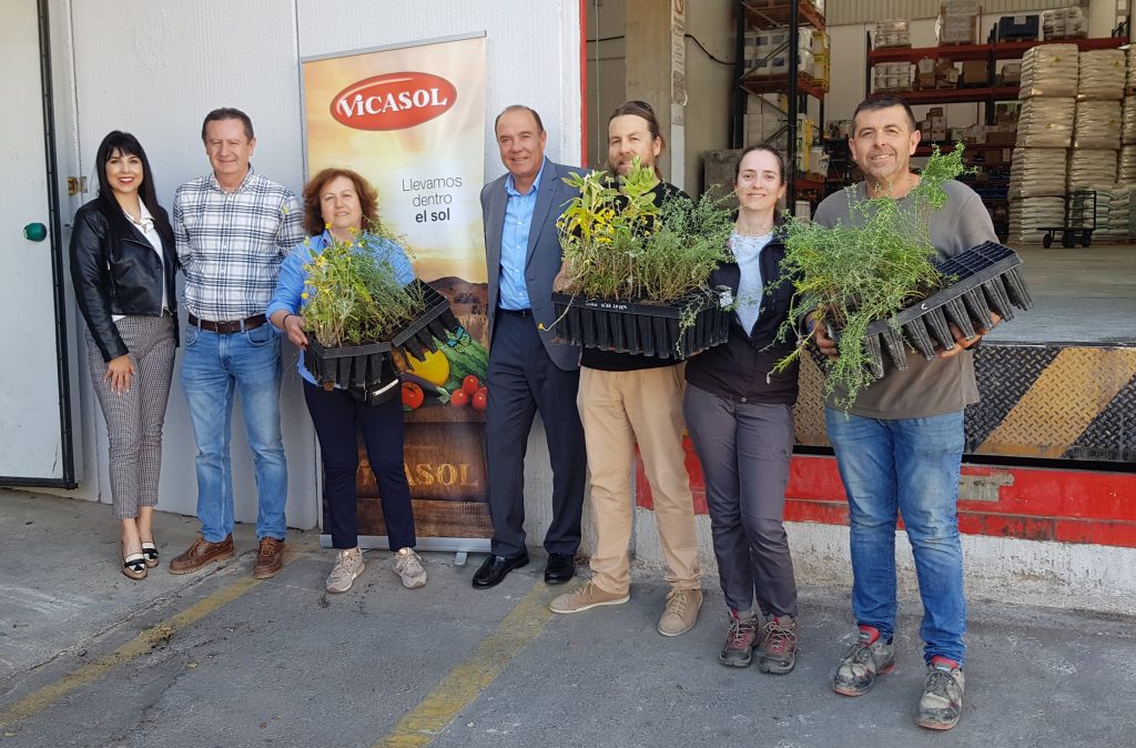 Un millar de plantas para avanzar en la agricultura por conservación ...
